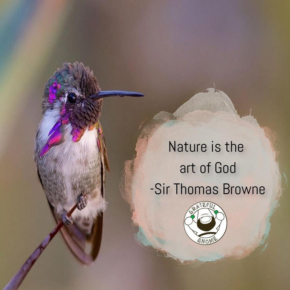 Nature – Grateful Gnome