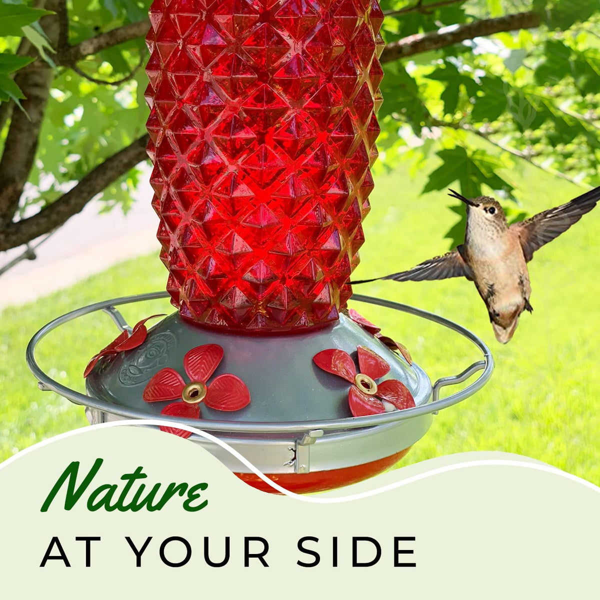 Renaissance Ruby Hummingbird Feeder - 12 fl. oz – Grateful Gnome