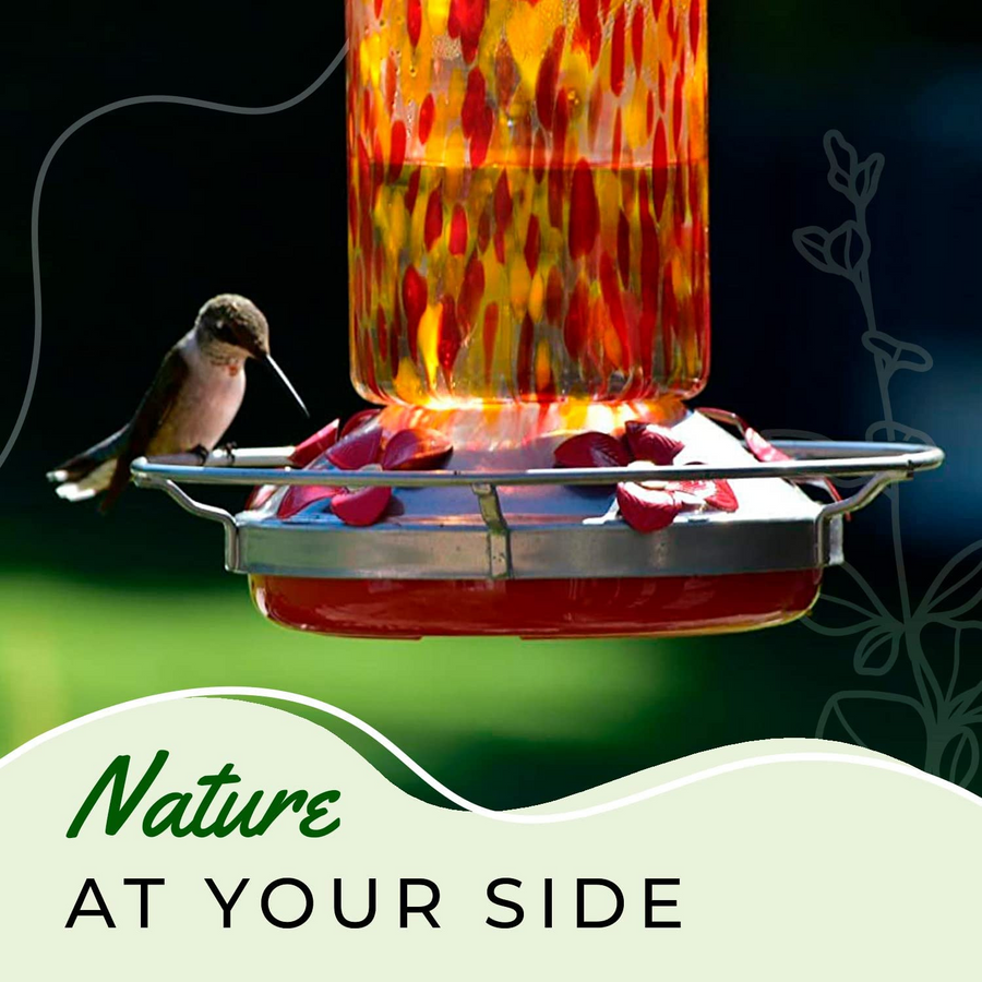 Fiery Bell Tower Hummingbird Feeder - 20 Fluid Ounces – Grateful Gnome